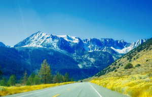 Buy Gift Cards in Kenya | Online Gift Vouchers | SureGifts